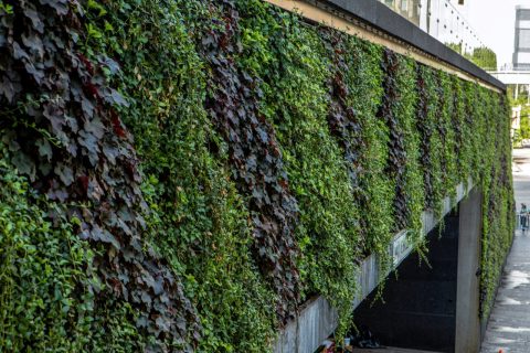 WTC Campus Becomes Greener this Spring | World Trade Center